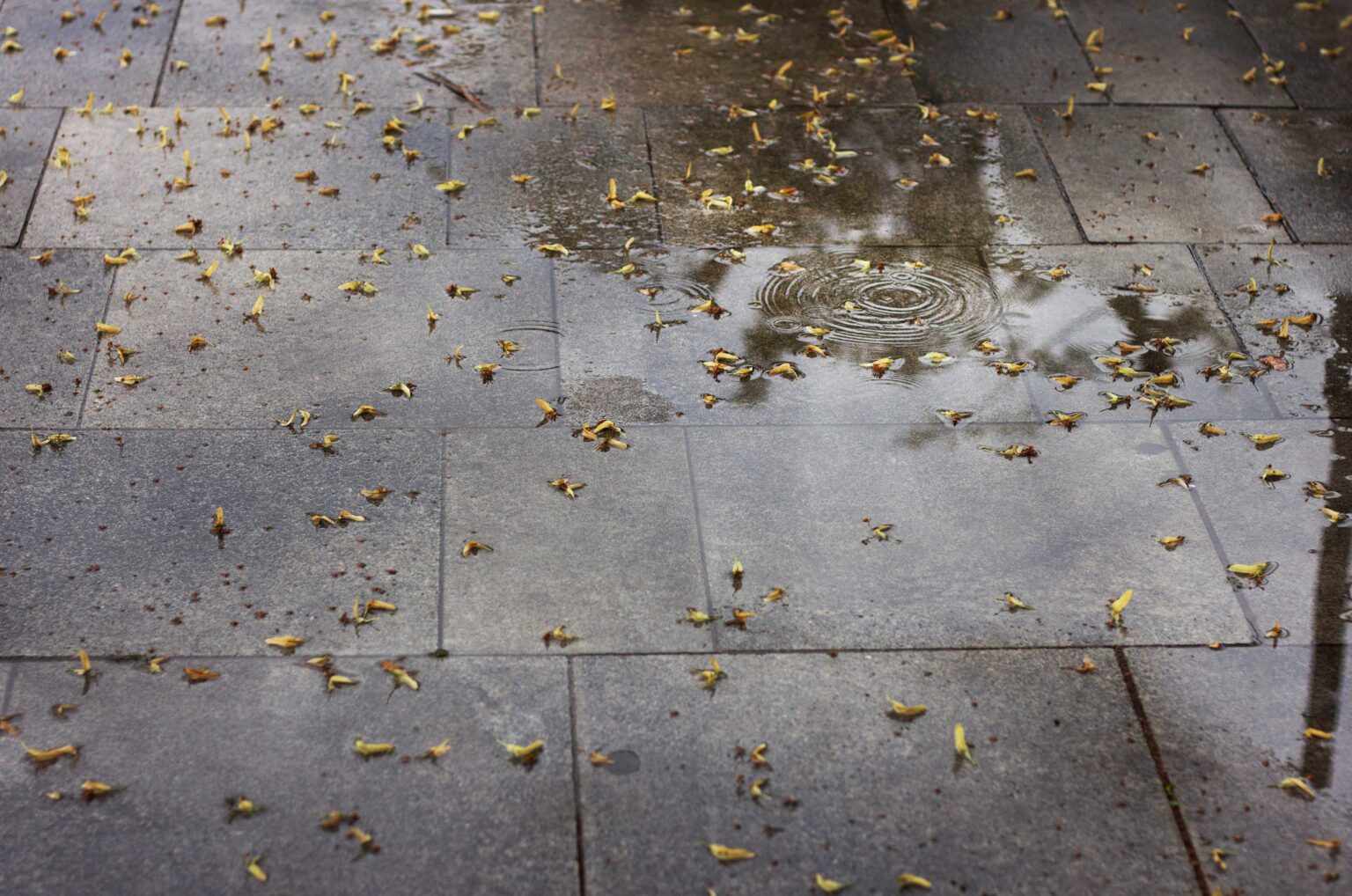 7 Tips To Prepare Your Paver Patio From Snow, Ice, And Freezing ...